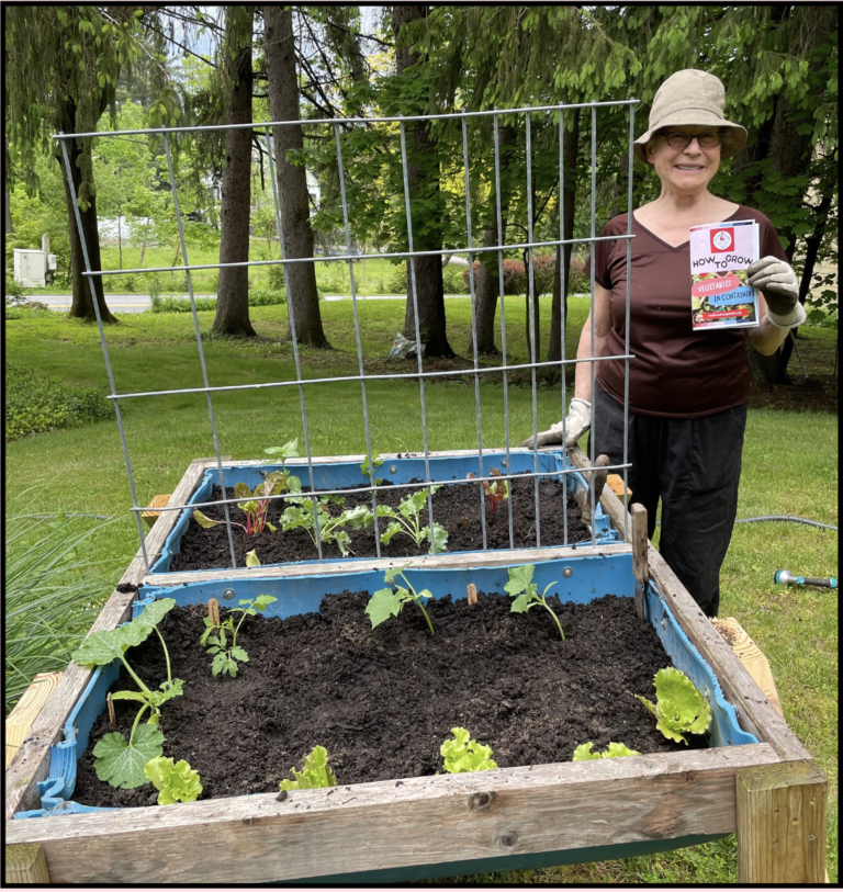 Veggie Tables – Red Hook Responds